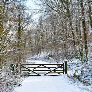 My Snowy Gate on a Canvas Print. - Etsy UK