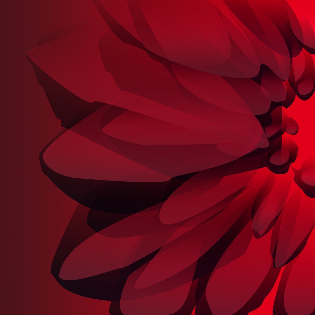 3000 Red Flower Digital Download - Etsy