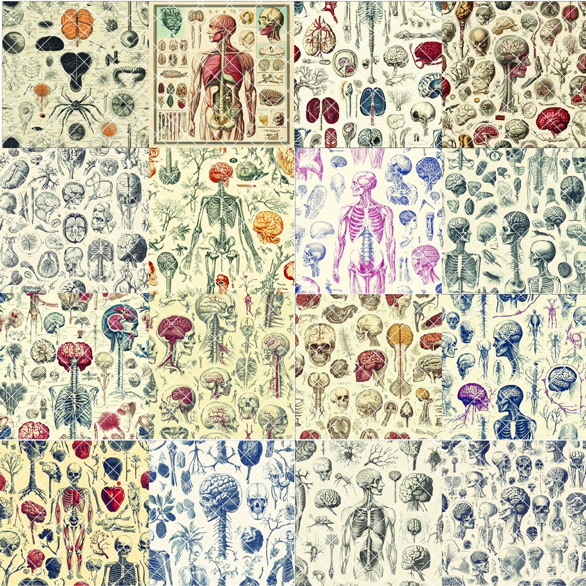 Anatomically Incorrect Vintage Biology Papers | 106 Jpgs 12x12" | Weird ...