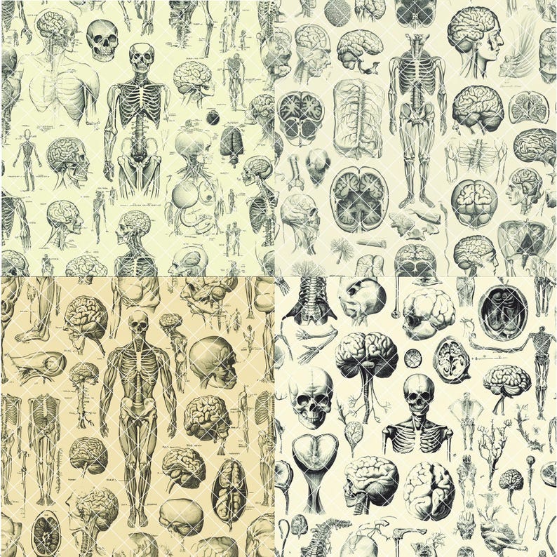 Anatomically Incorrect Vintage Biology Papers | 106 Jpgs 12x12" | Weird ...