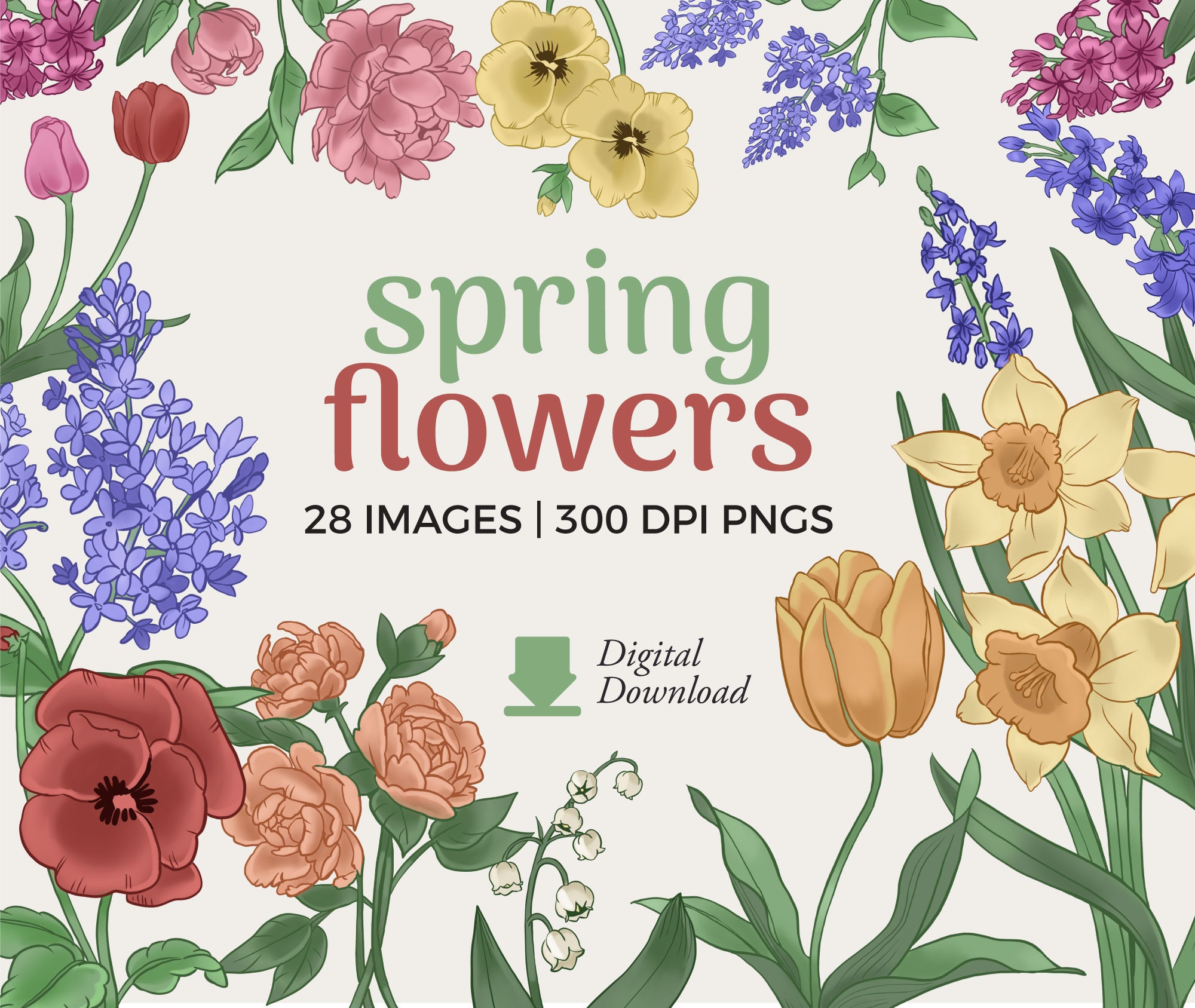 Spring Flowers Clipart Illustrations Botanical Drawings PNG - Etsy