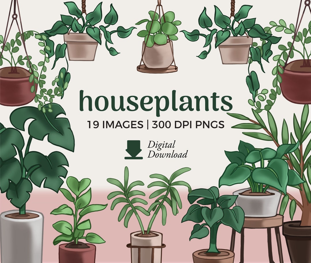 Houseplants Clipart Illustrations | Potted Plants PNG Download | Indoor ...
