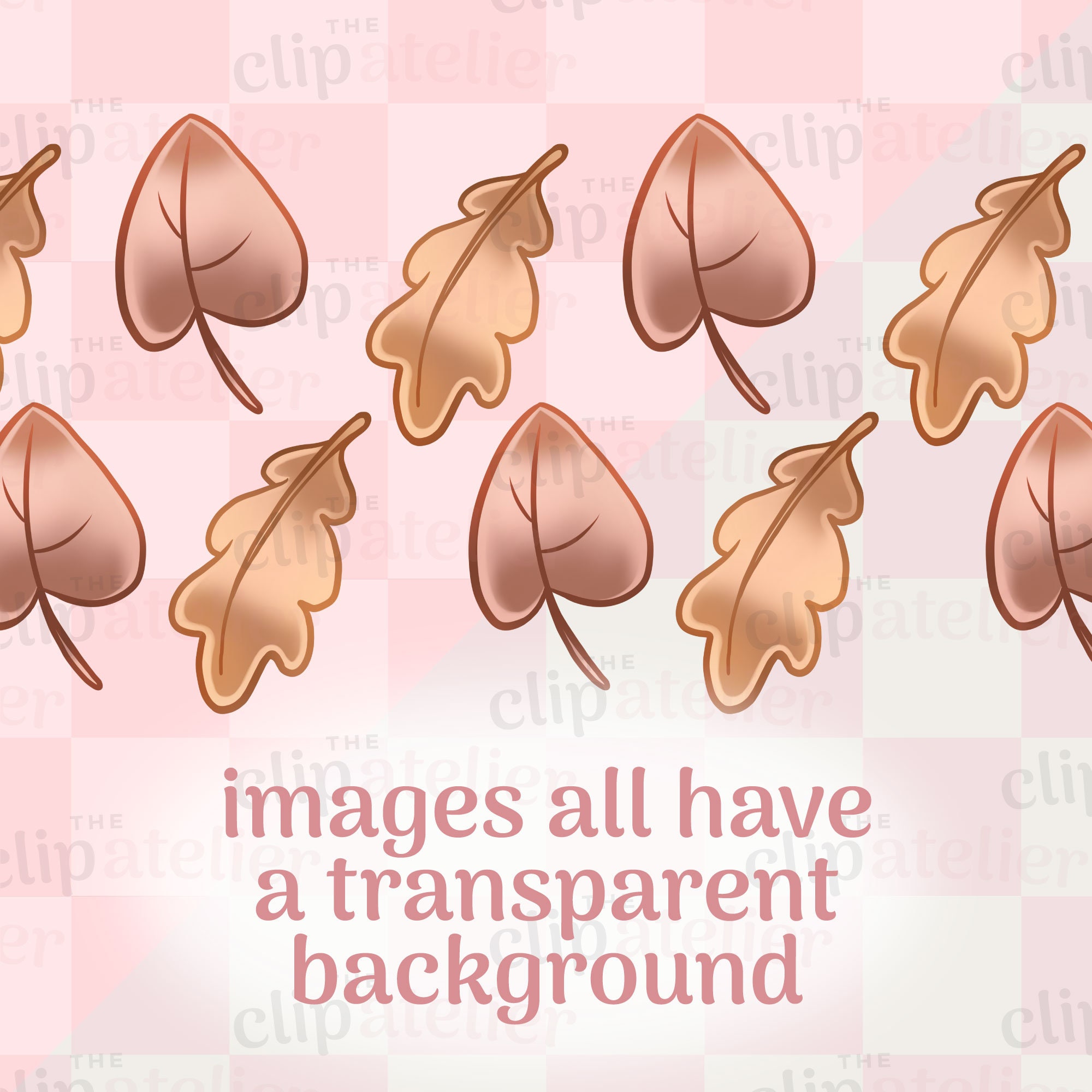 Boho Fall Clipart Illustrations Autumn Graphics PNG Download - Etsy