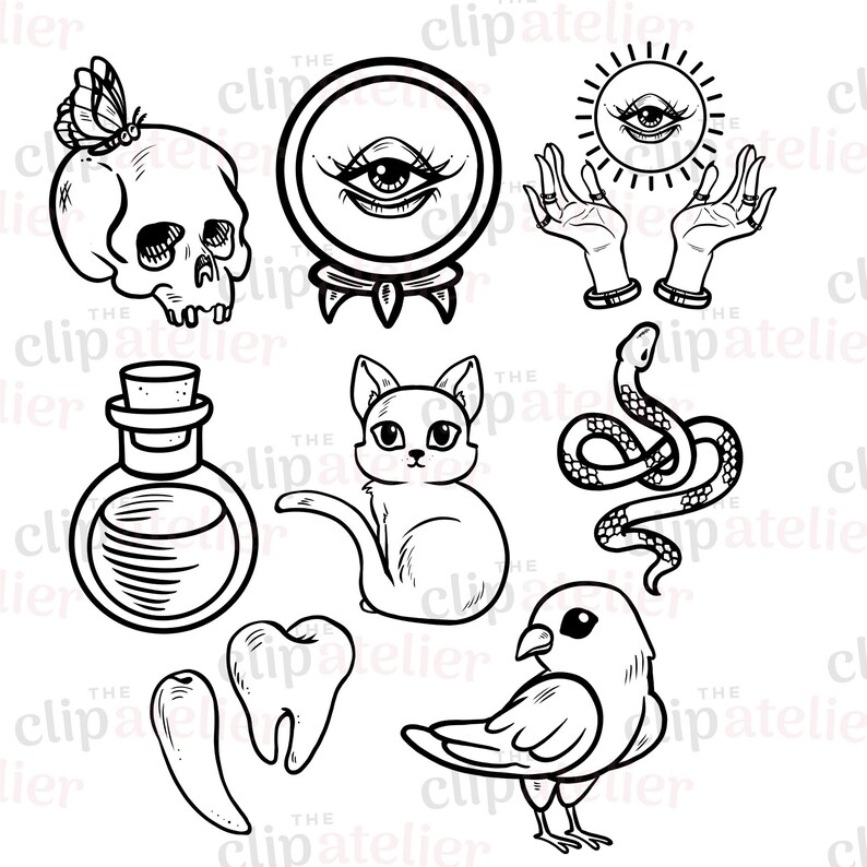 Witch Line Art Clipart: 28 Hand-drawn Witchcraft Illustrations (PNG ...