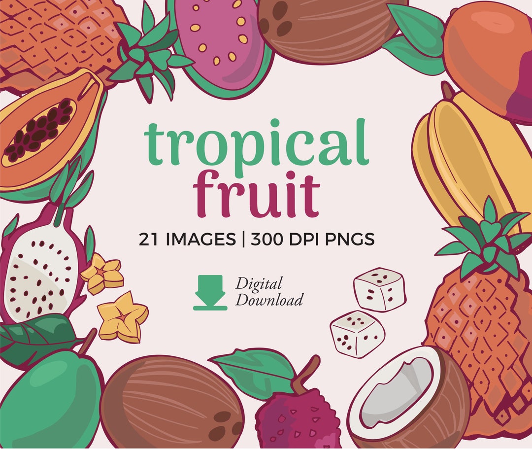 Tropical Fruit Clipart Illustrations | Summer Fruit PNG Download ...