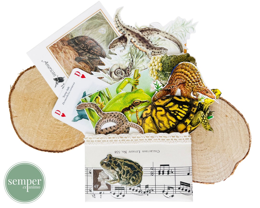 Reptiles Journaling Kit Mixed Cut-outs Journaling Set Scrapbooking ...