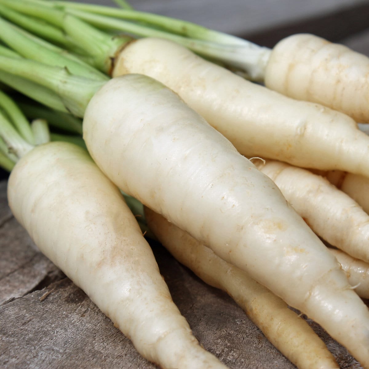 Carrot Lunar White Finest Vegetable Seeds - Etsy UK