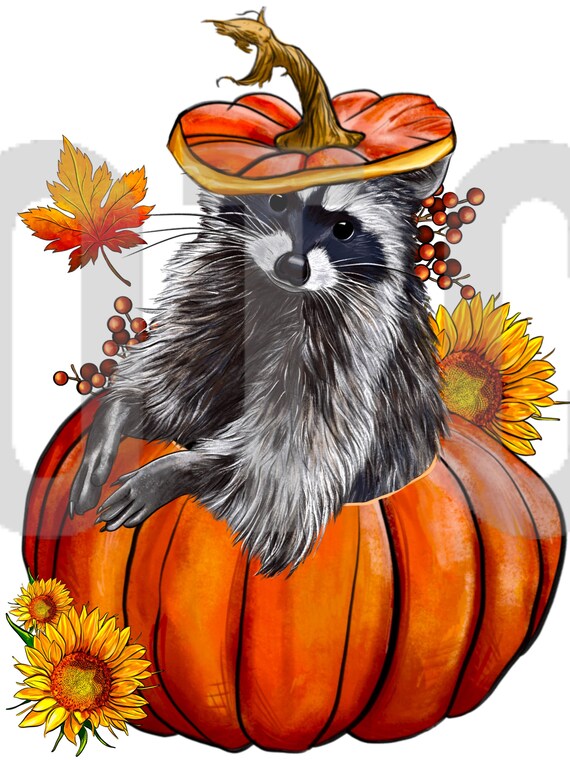 Fall Pumpkin / Raccoon Ready to Press Sublimation Transfer - Etsy