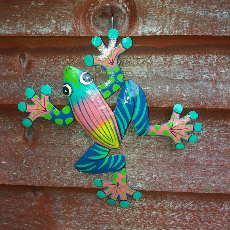 Frog Home Decor - Etsy