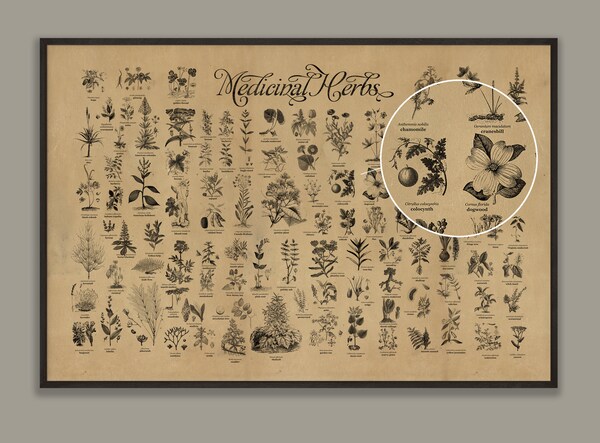 Color Correction HEX Code Color Chart Printable Designer Quick - Etsy ...