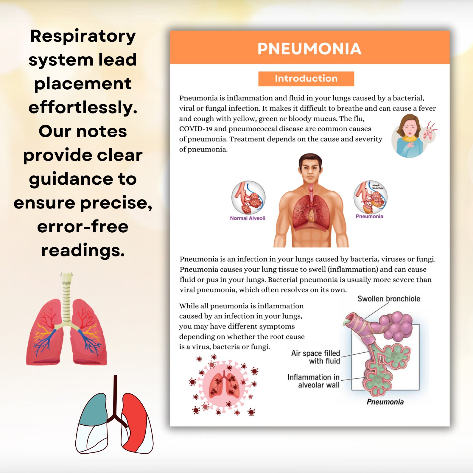 Respiratory System Bundle Med Surg Nursing Study Instant Download ...