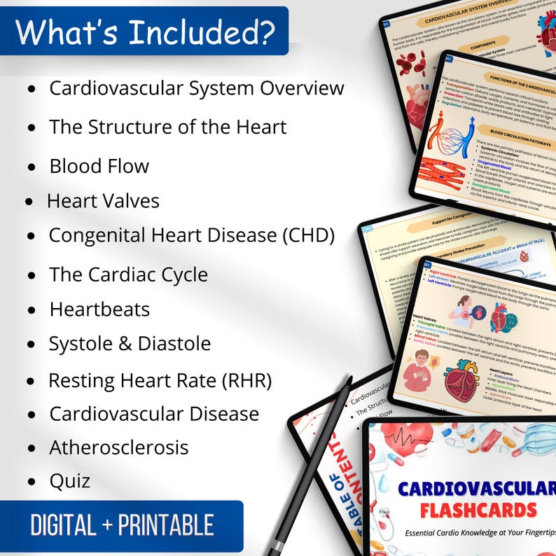 Cardiovascular System Flashcards Hyperlinked PDF 100 Cards Nursing ...