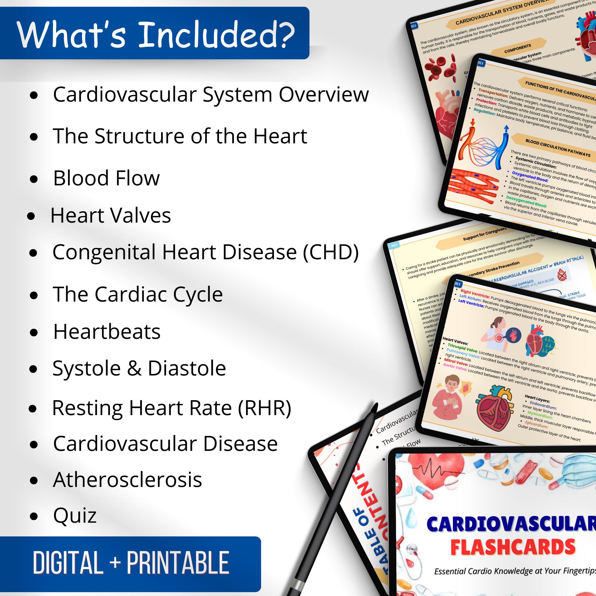 Cardiovascular System Flashcards Hyperlinked PDF 100 Cards Nursing ...