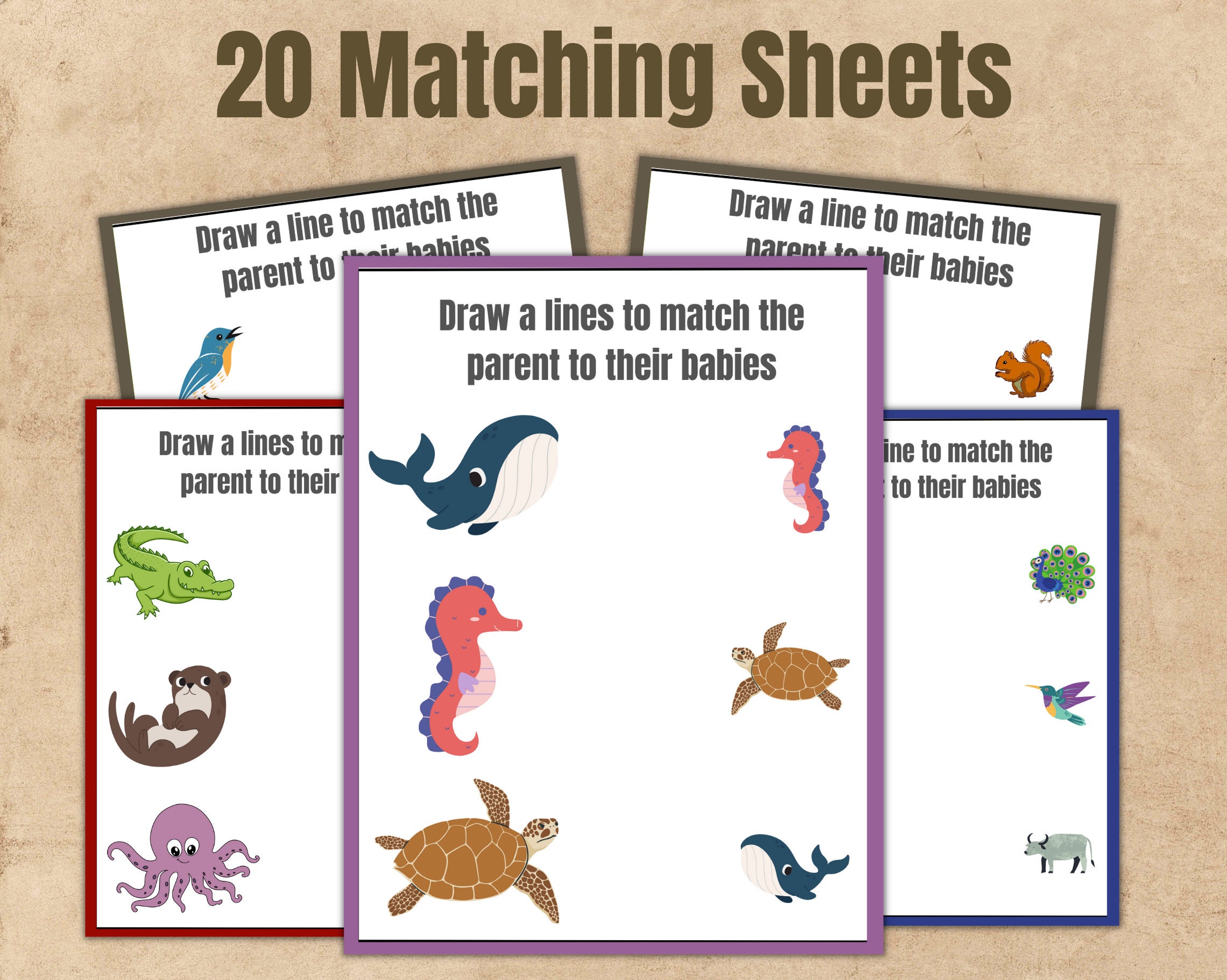 Preschool Comparison Worksheets Preschool Worksheets - Etsy