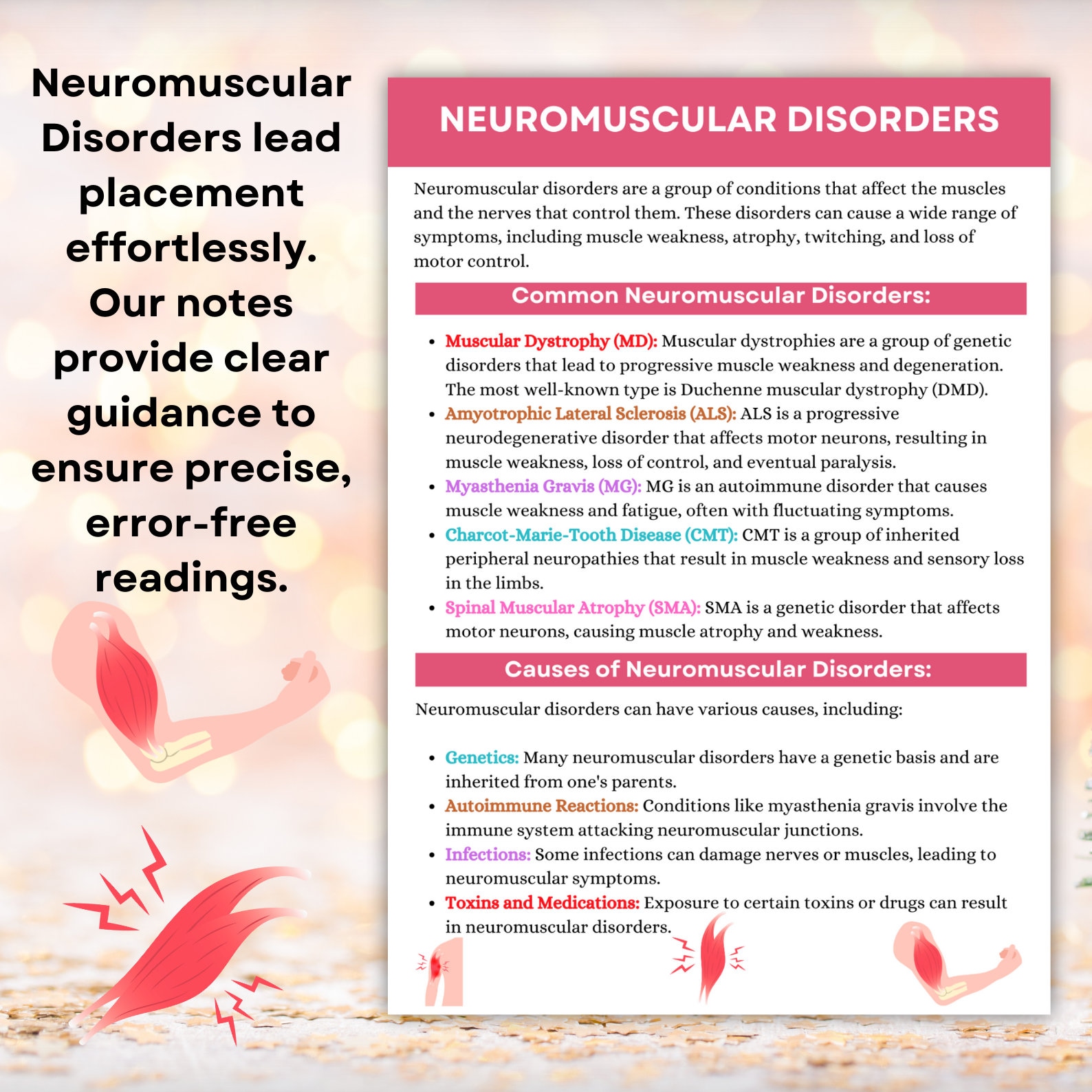 Neurological System Neuro Bundle Notes Med Surg Notes Pritnable Notes ...