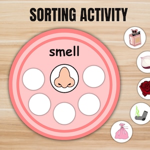 Five Senses Sorting Activity: Preschool Learning Printable (digital ...