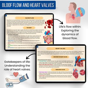 Cardiovascular System Flashcards Hyperlinked PDF| 100+ Cards | Nursing ...