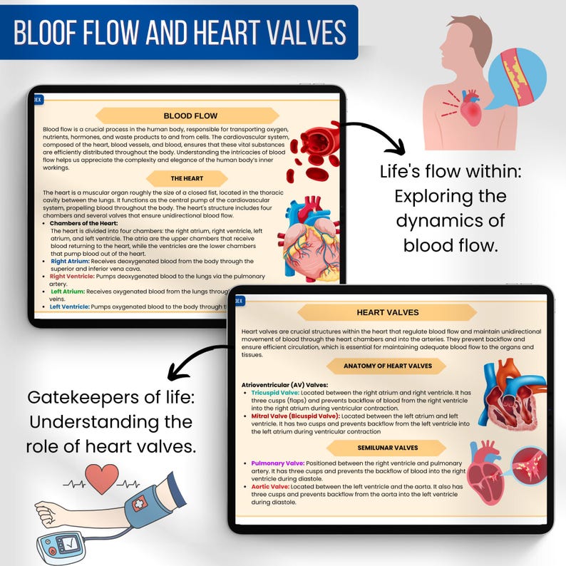Cardiovascular System Flashcards Hyperlinked PDF 100 Cards Nursing ...