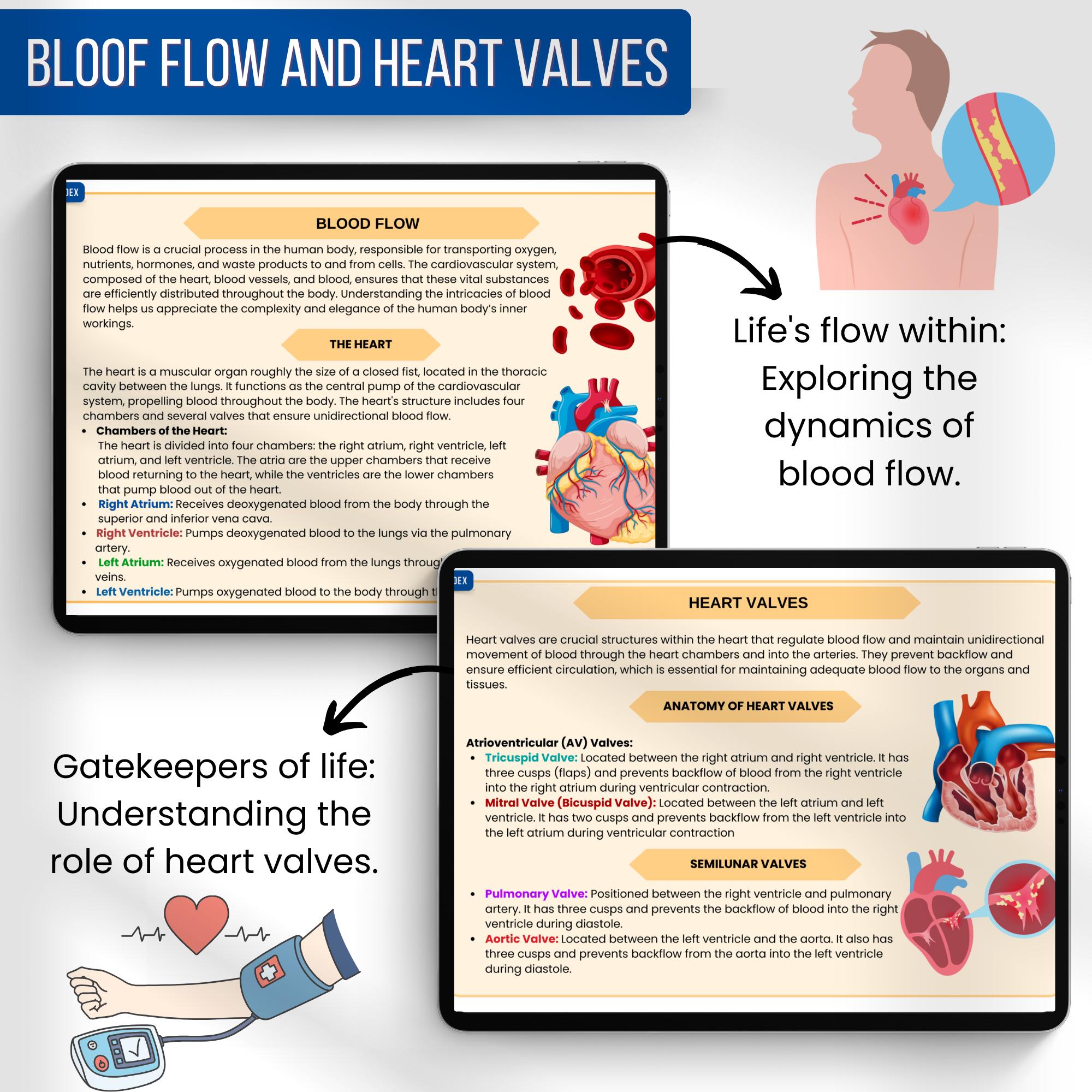 Cardiovascular System Flashcards Hyperlinked PDF 100 Cards Nursing ...