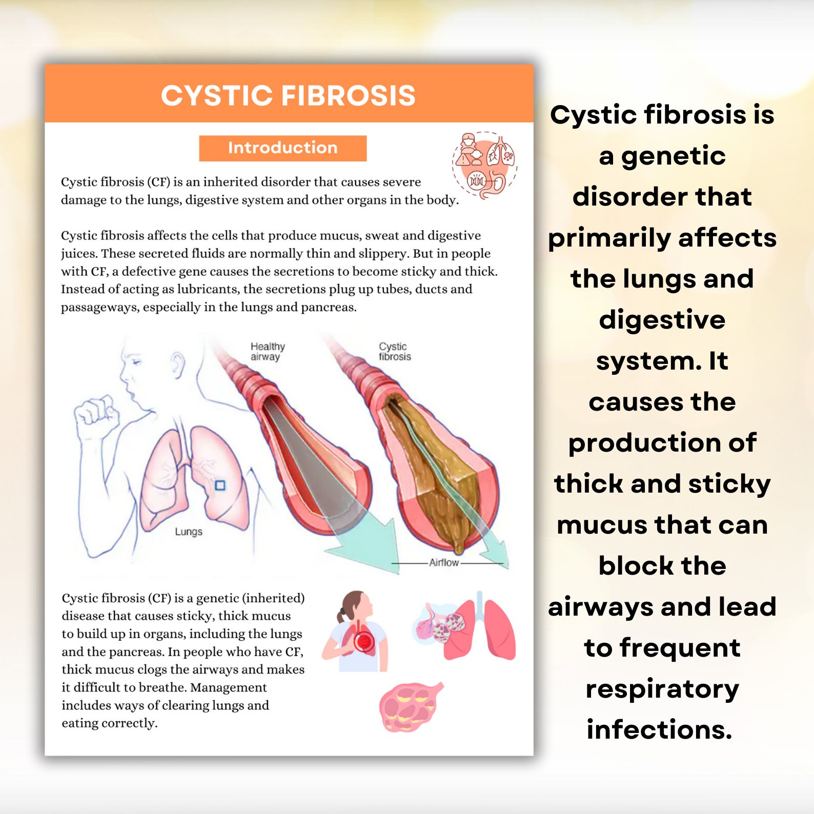 Respiratory System Bundle | Med Surg Nursing Study | Instant Download ...