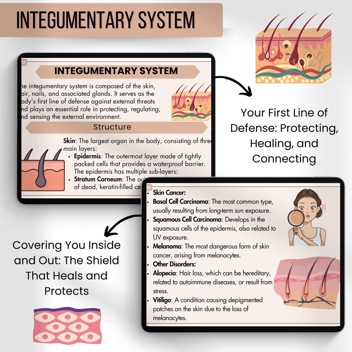 Pathophysiology Flashcards: Medical Nursing Study Aid (digital Download ...