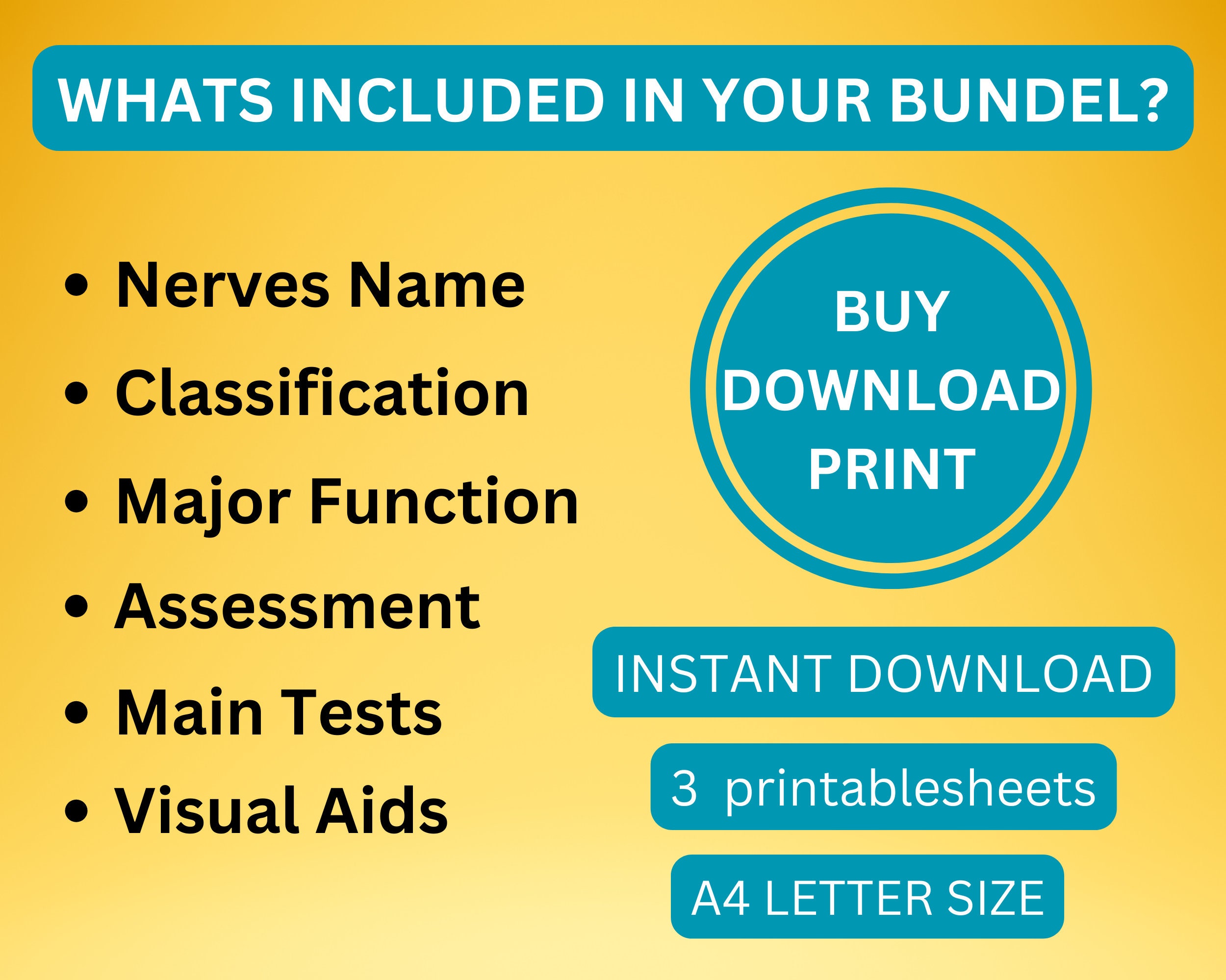 Cranial Nerves Study Guide | 3 Pages | Digital Download | Nursing ...