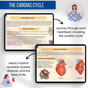Cardiovascular System Flashcards Hyperlinked PDF| 100+ Cards | Nursing ...