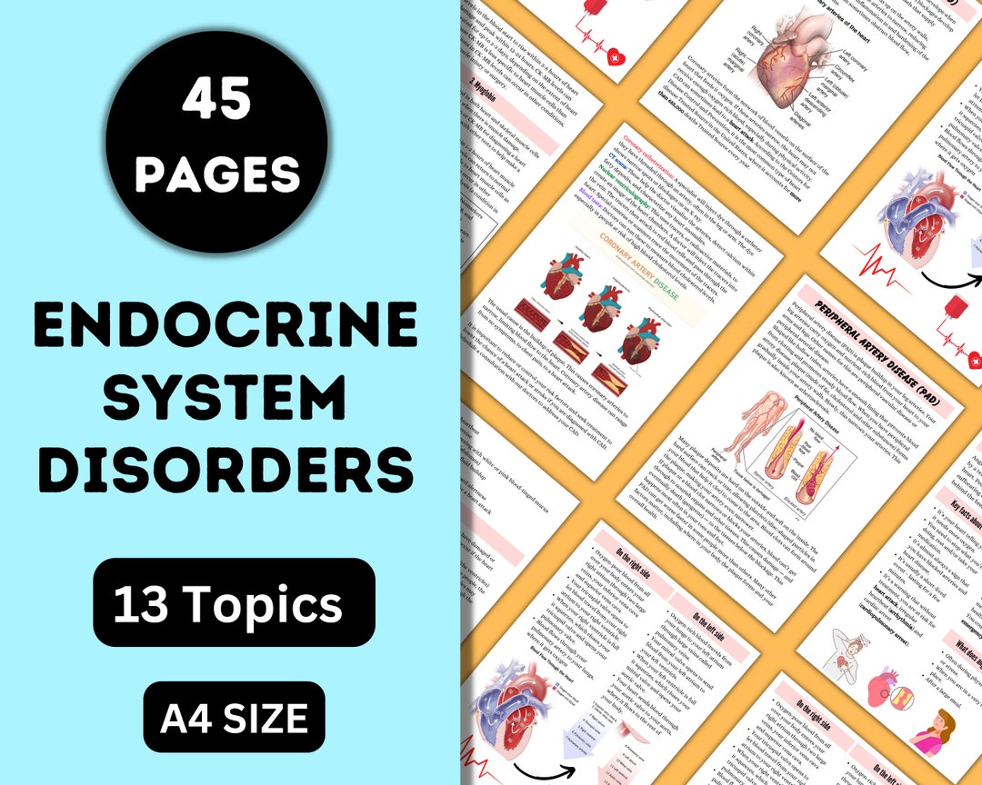 Endocrine System Disorders Bundle 45 Pages | Nursing Study Guide ...