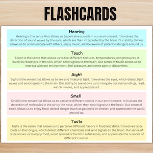 Five Senses Sorting Activity: Preschool Learning Printable (digital ...