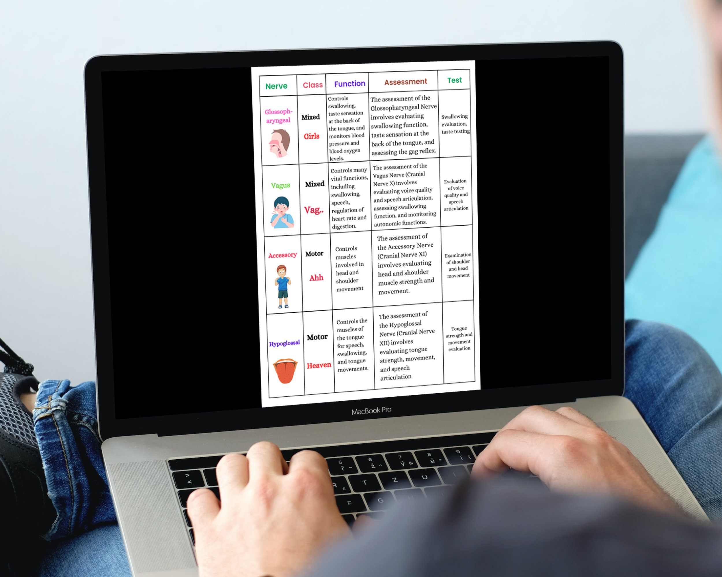 Cranial Nerves Study Guide | 3 Pages | Digital Download | Nursing ...