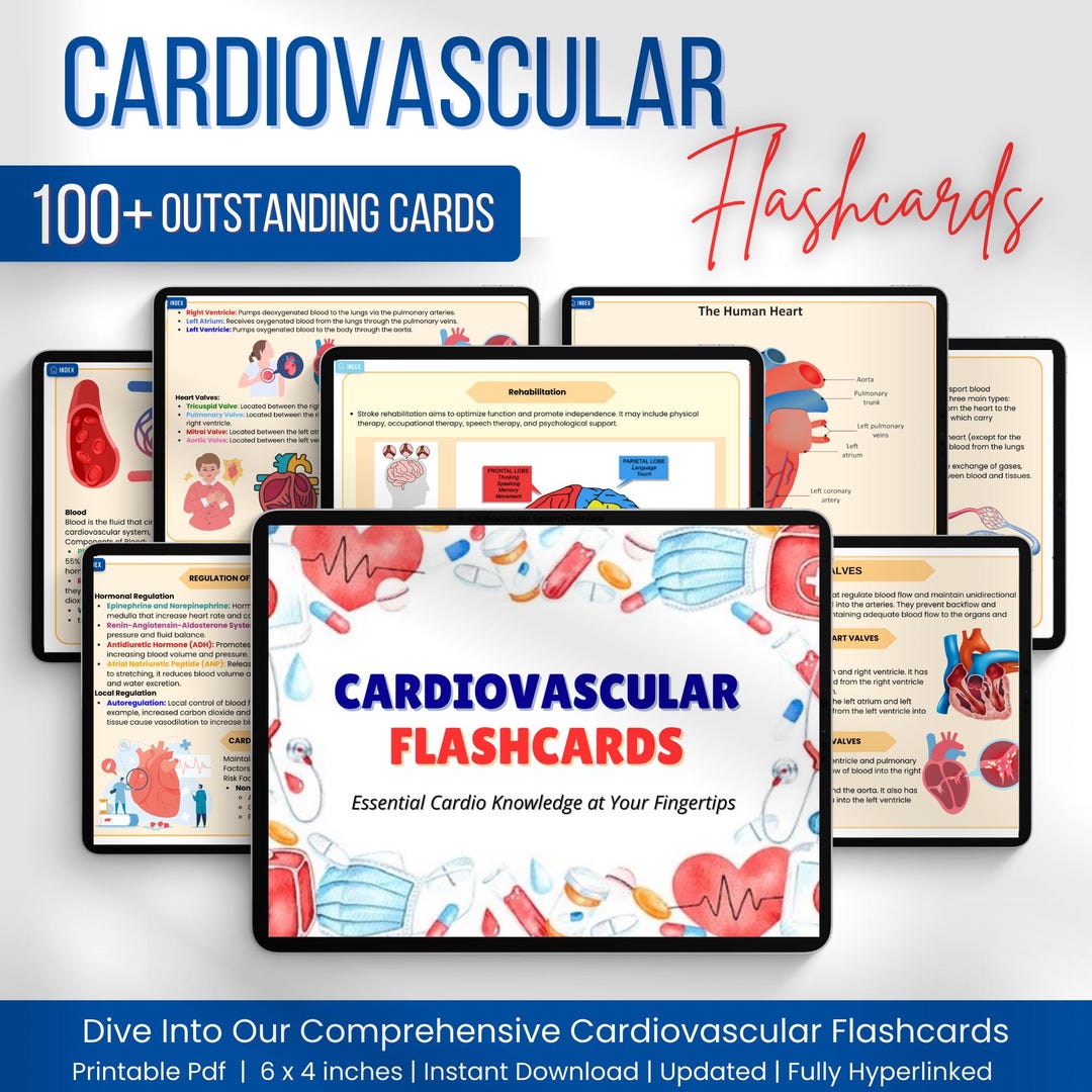 Cardiovascular System Flashcards Hyperlinked PDF| 100+ Cards | Nursing ...