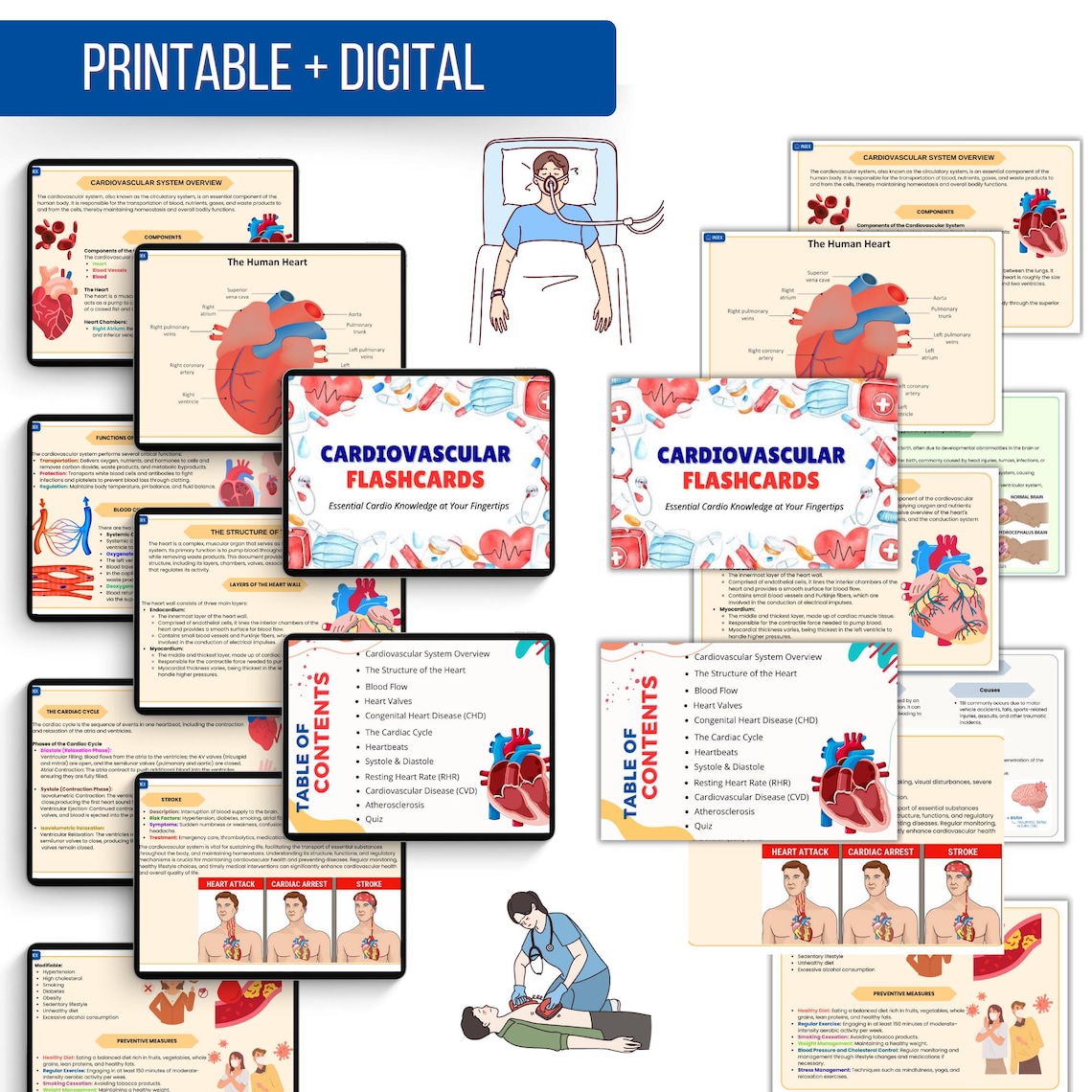 Cardiovascular System Flashcards Hyperlinked PDF 100 Cards Nursing ...