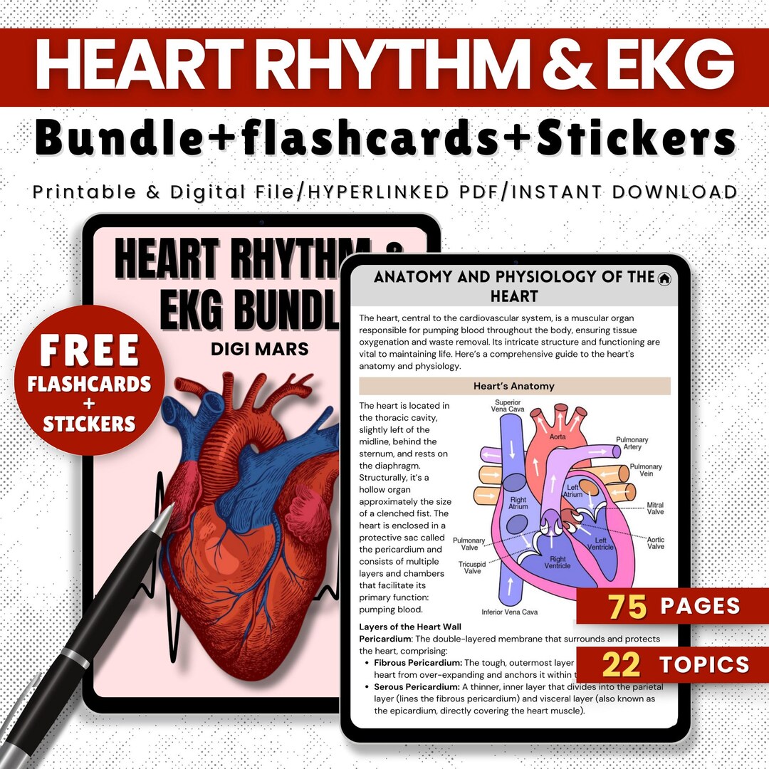 Heart Rhythm EKG Study Bundle: Medical Nursing Notes (75 Pages ...