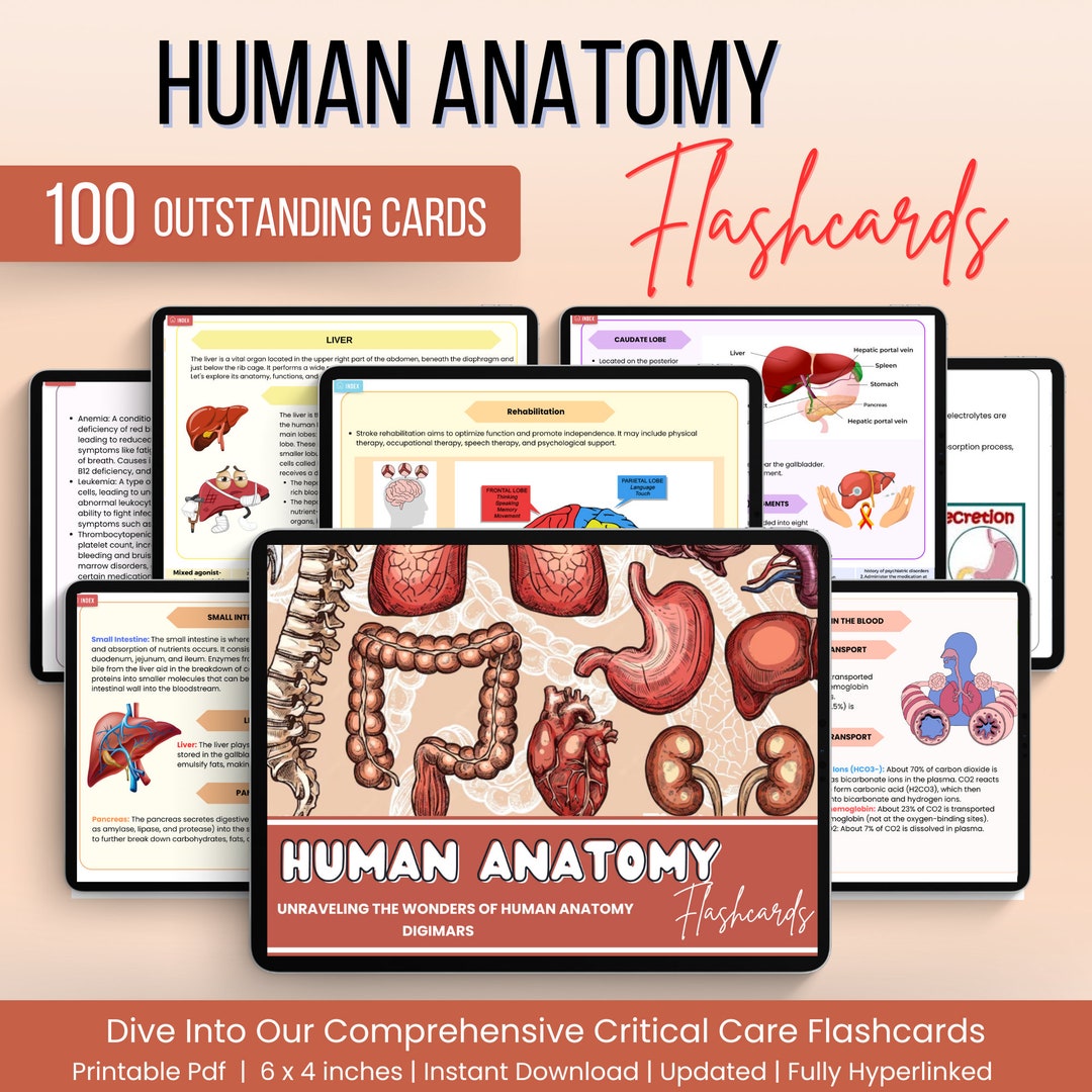 Anatomy & Physiology Flashcards | 100 Pages | Anatomy Nursing ...