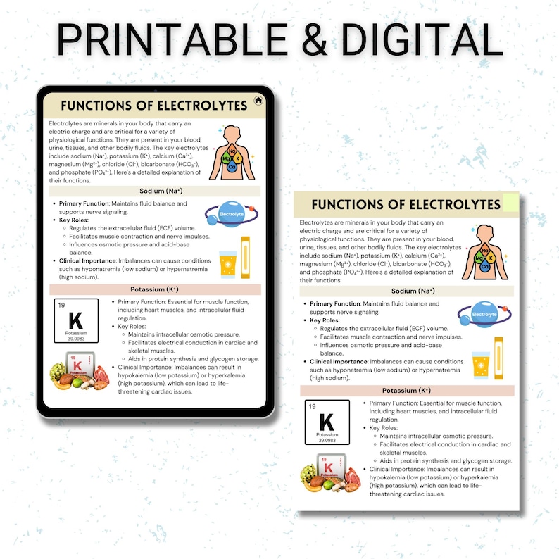 Electrolyte Imbalance Study Bundle: Nursing Medical Notes (digital PDF ...