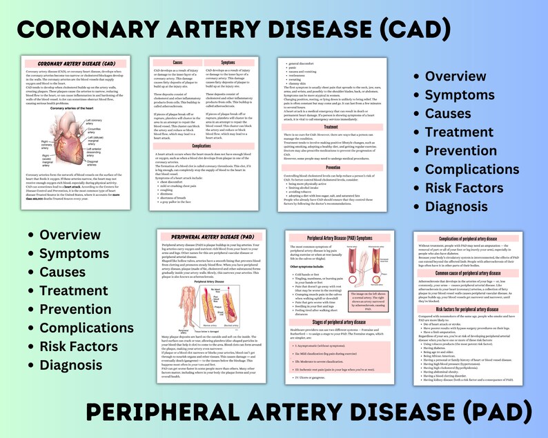 Cardiac Disorders Nursing Notes 2024, Cardiovascular System, Med Surg ...