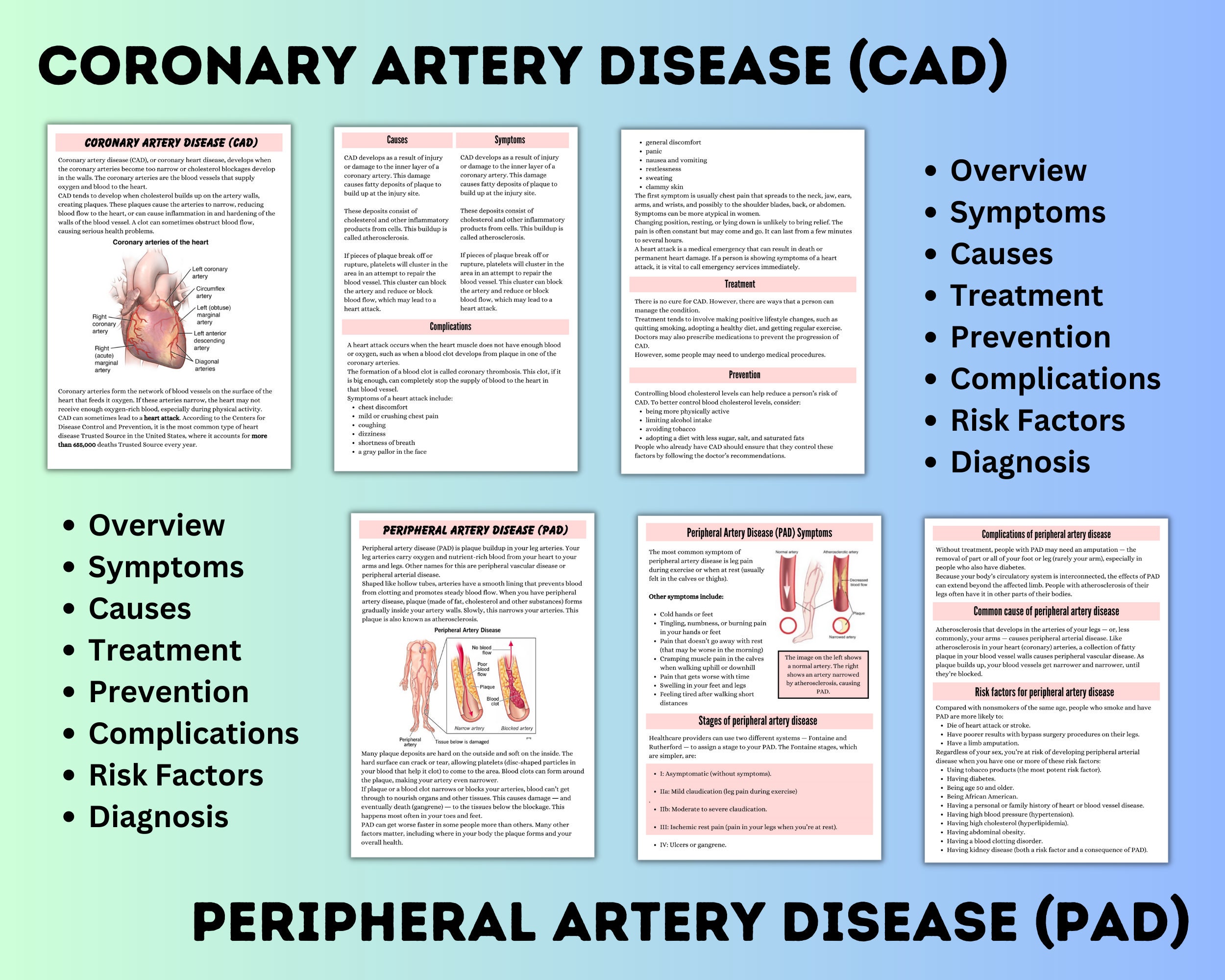 Cardiac Disorders Nursing Notes 2024, Cardiovascular System, Med Surg ...