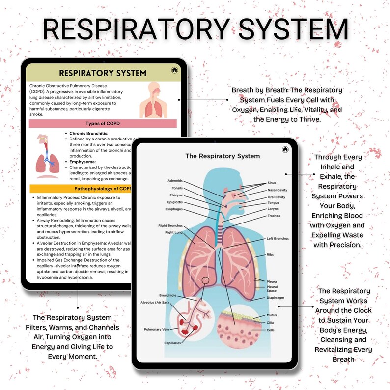 Pathophysiology Bundle Fully Hyperlinked PDF | 160+ Pages | Medical ...