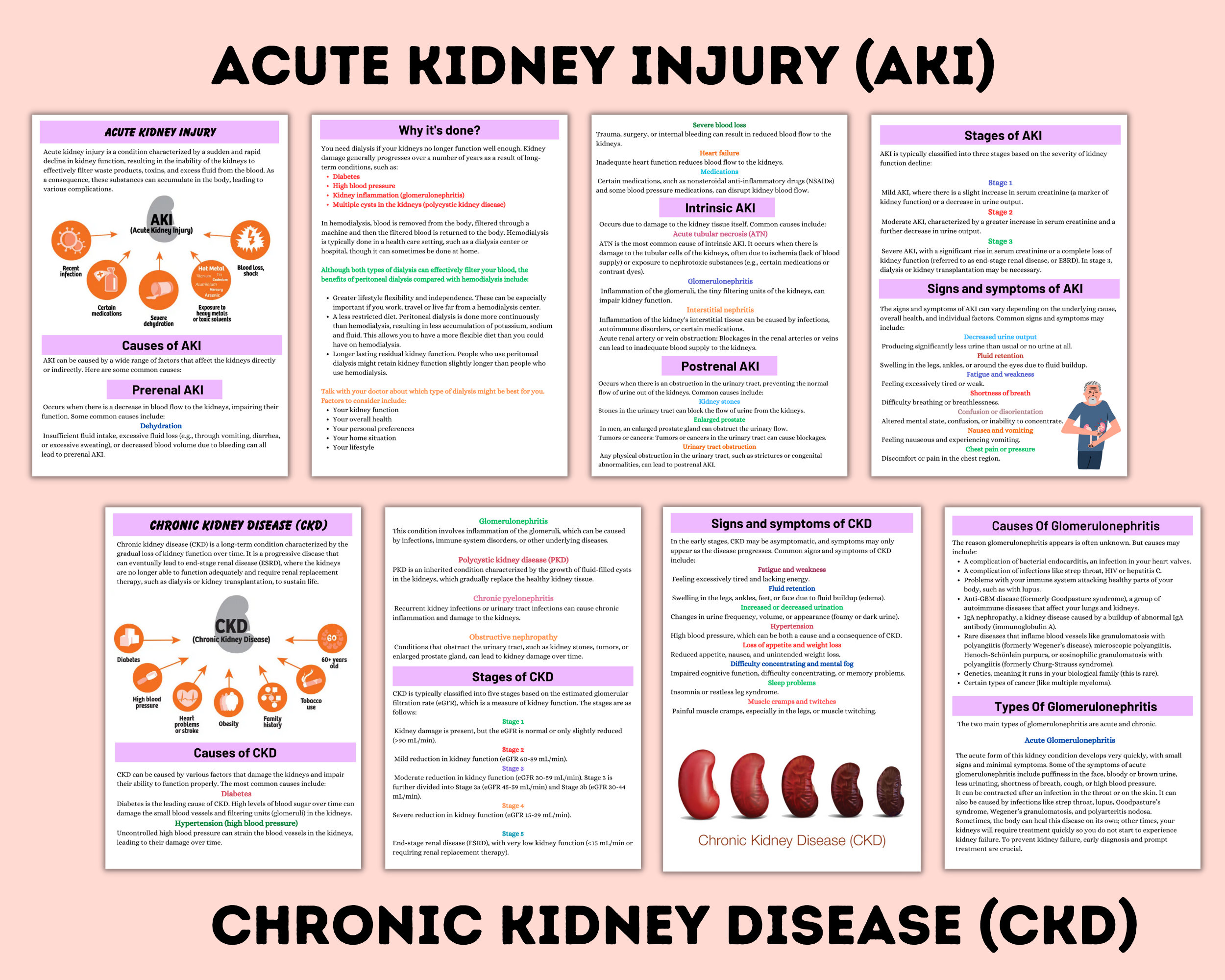 Renal/urinary System & Diseases, Nursing Study Guides, Nursing Notes ...