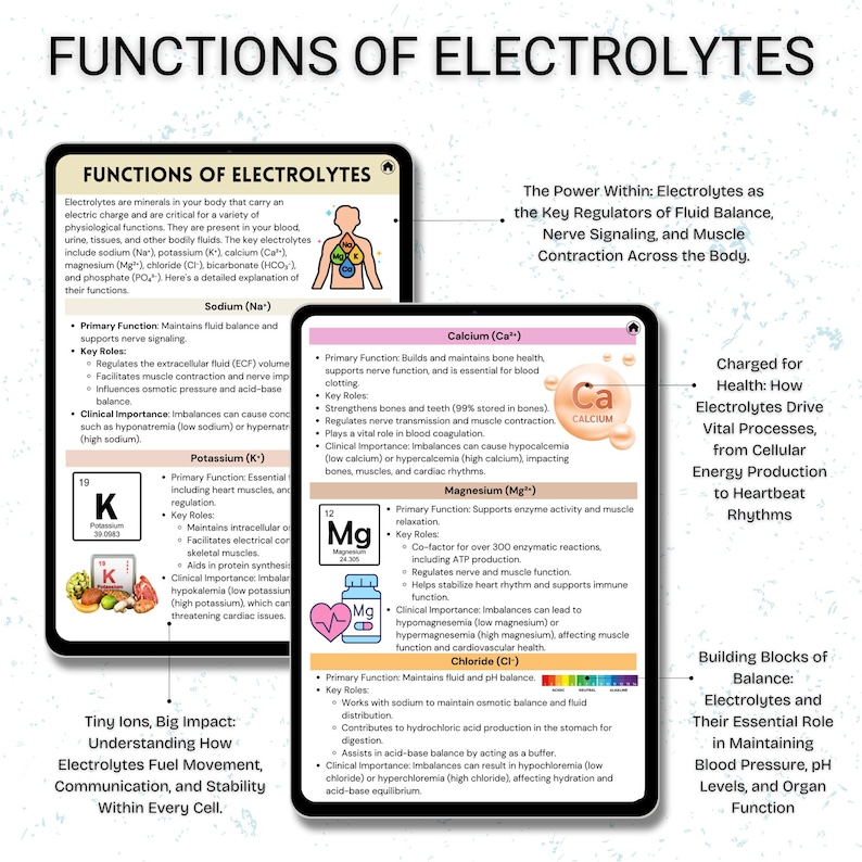 Electrolyte Imbalance Study Bundle: Nursing Medical Notes (digital PDF ...