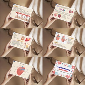 Cardiovascular System Flashcards Hyperlinked PDF 100 Cards Nursing ...