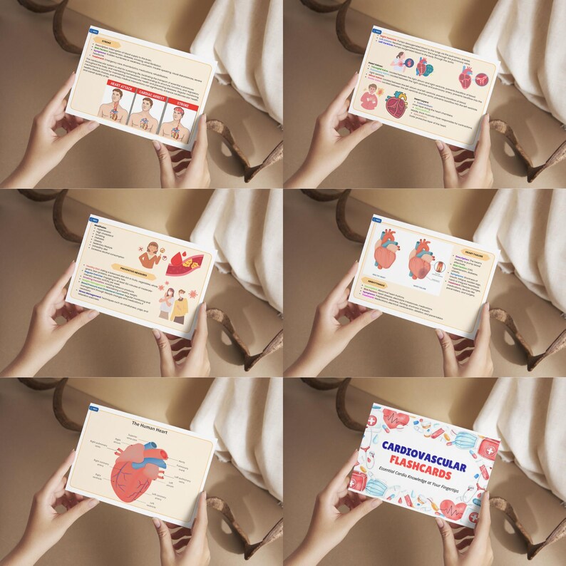 Cardiovascular Flashcards: Nursing School Cardiac Study (PDF Download ...