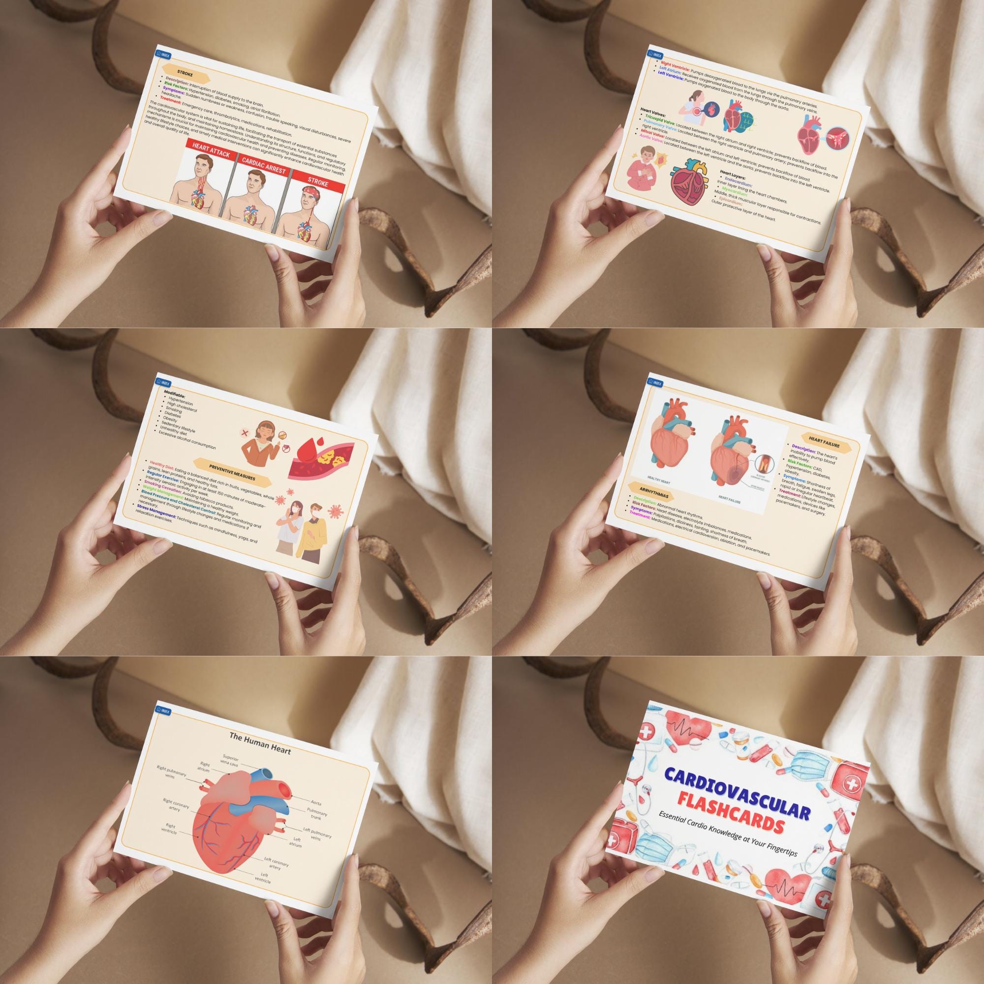 Cardiovascular System Flashcards Hyperlinked PDF 100 Cards Nursing ...