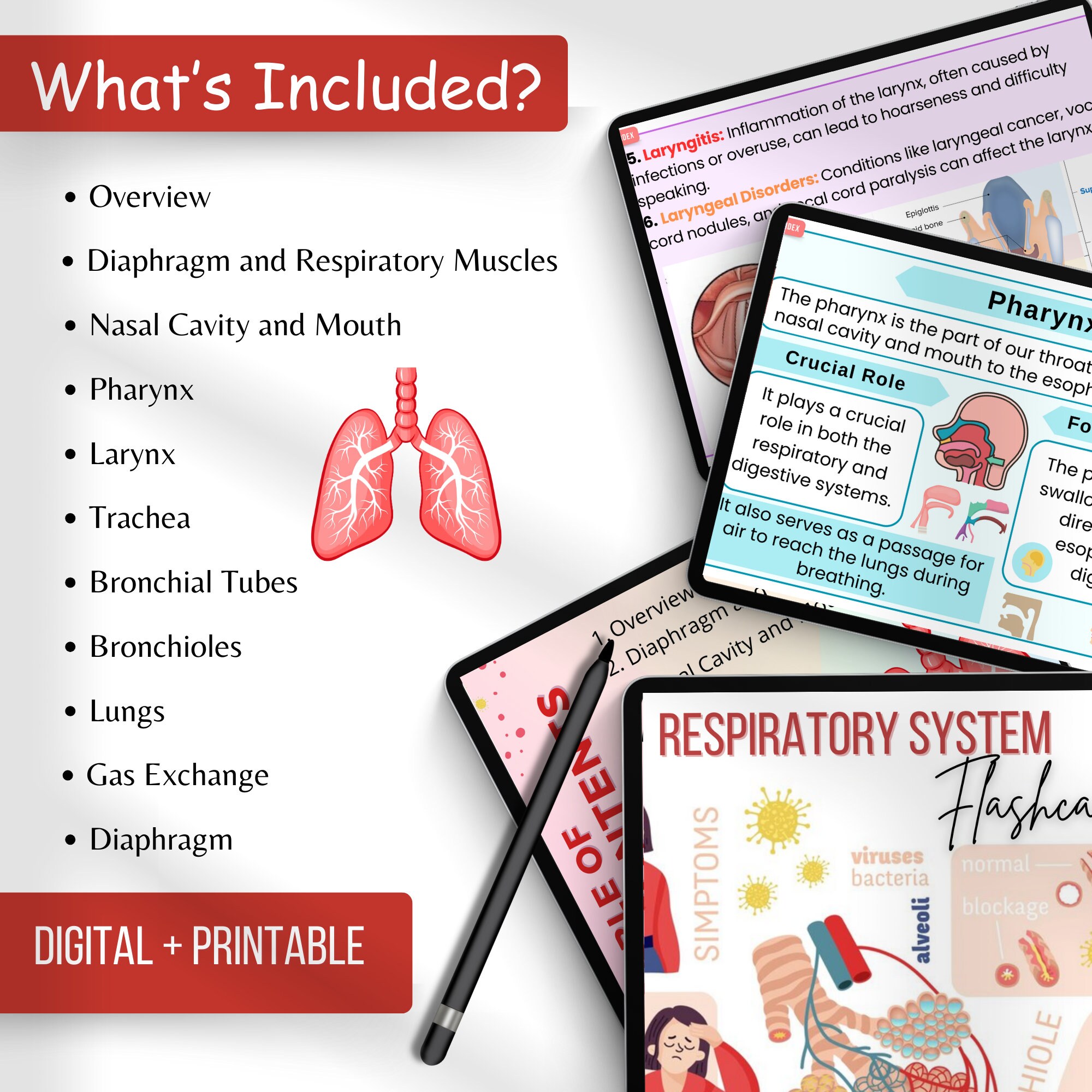 Respiratory System Flashcards | Med Surg Nursing Study | Study Notes ...