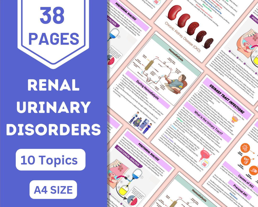 Renal/urinary System & Diseases, Nursing Study Guides, Nursing Notes ...
