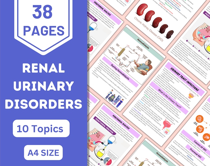 Renal/urinary System & Diseases, Nursing Study Guides, Nursing Notes ...