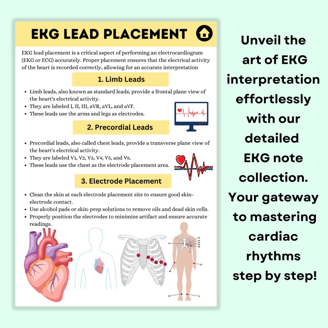 EKG Study Guide for Nursing Students BLS/ACLS Rhythms, Interventions ...