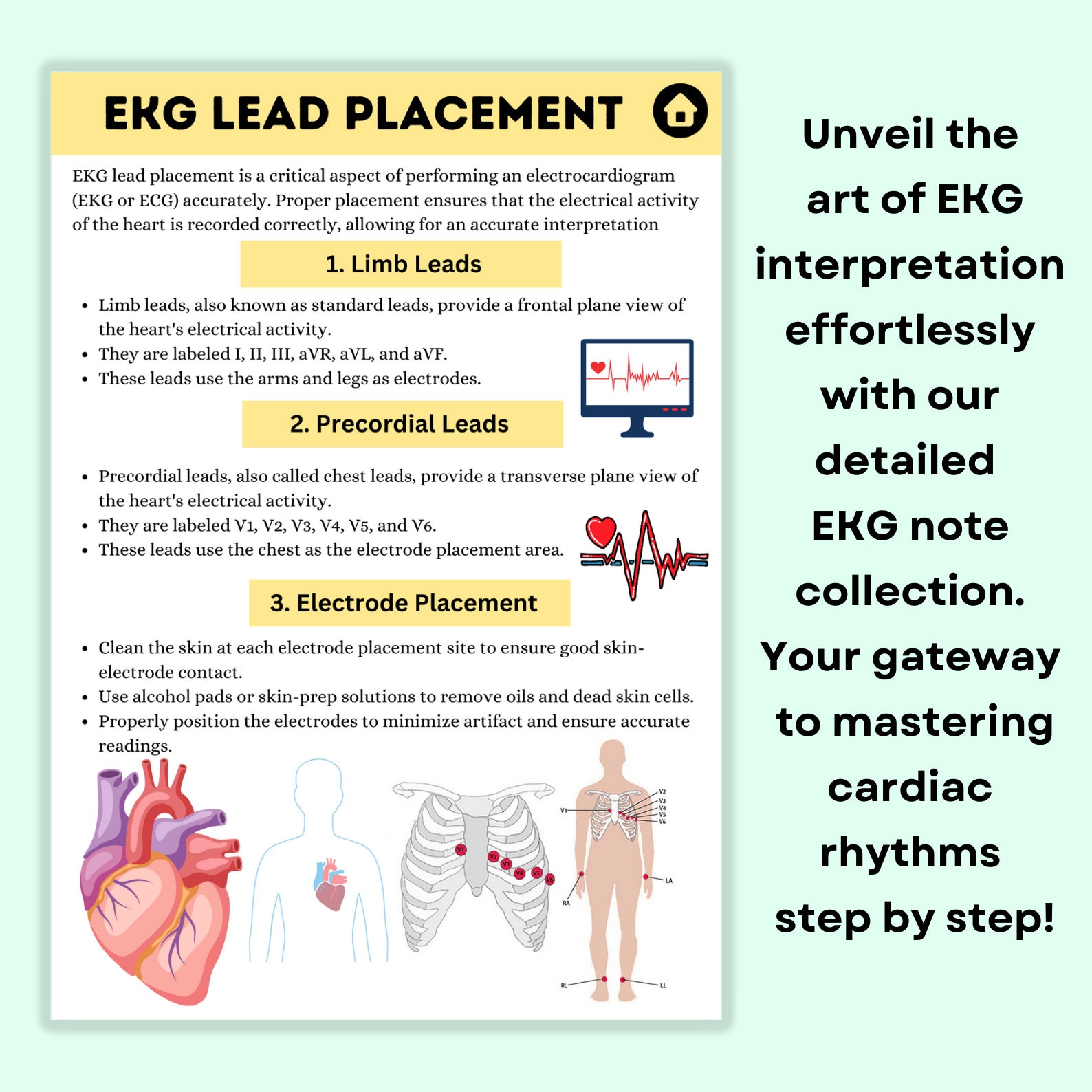 EKG Study Guide for Nursing Students BLS/ACLS Rhythms, Interventions ...