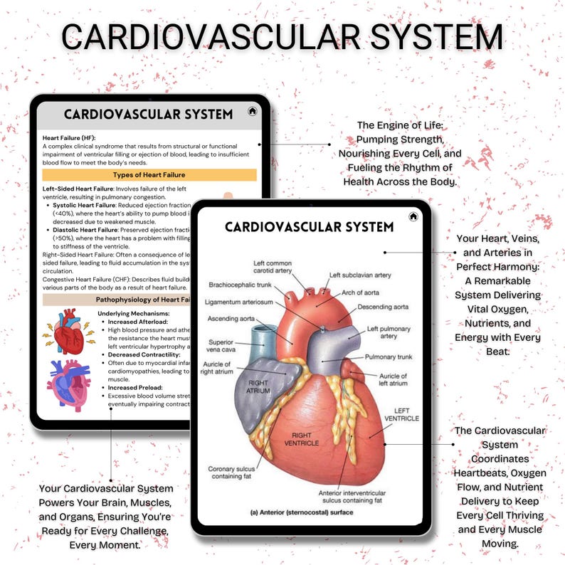 Pathophysiology Bundle Fully Hyperlinked PDF | 160+ Pages | Medical ...