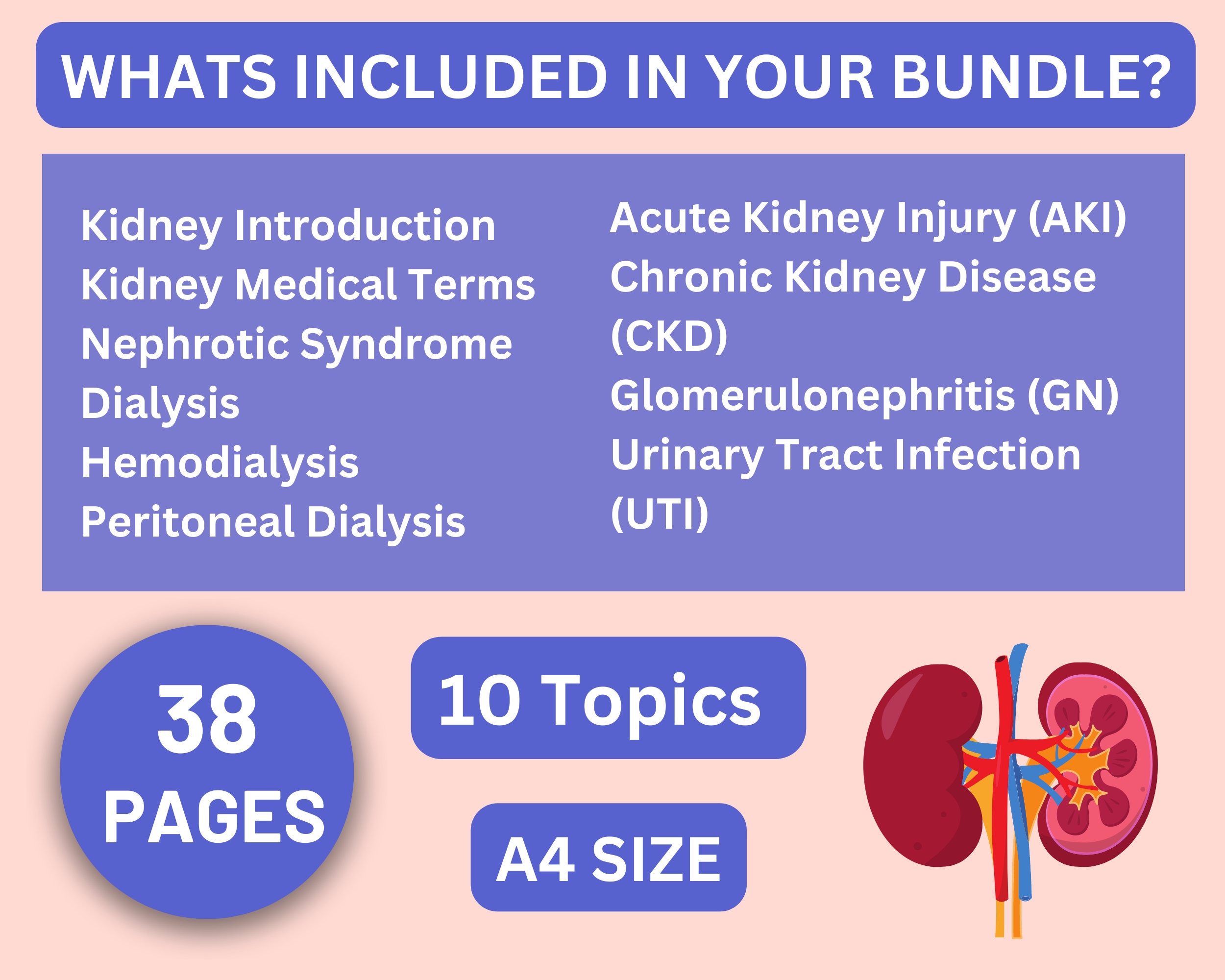 Renal/urinary System & Diseases, Nursing Study Guides, Nursing Notes ...